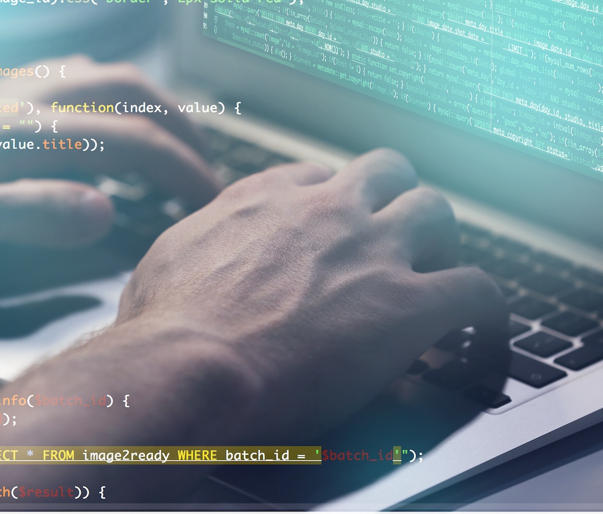 Services – Occam Solutions